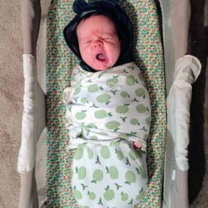 The New Mom's Complete Guide to Eat Play Sleep