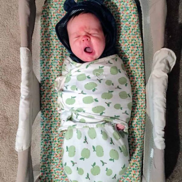 The New Mom's Complete Guide to Eat Play Sleep