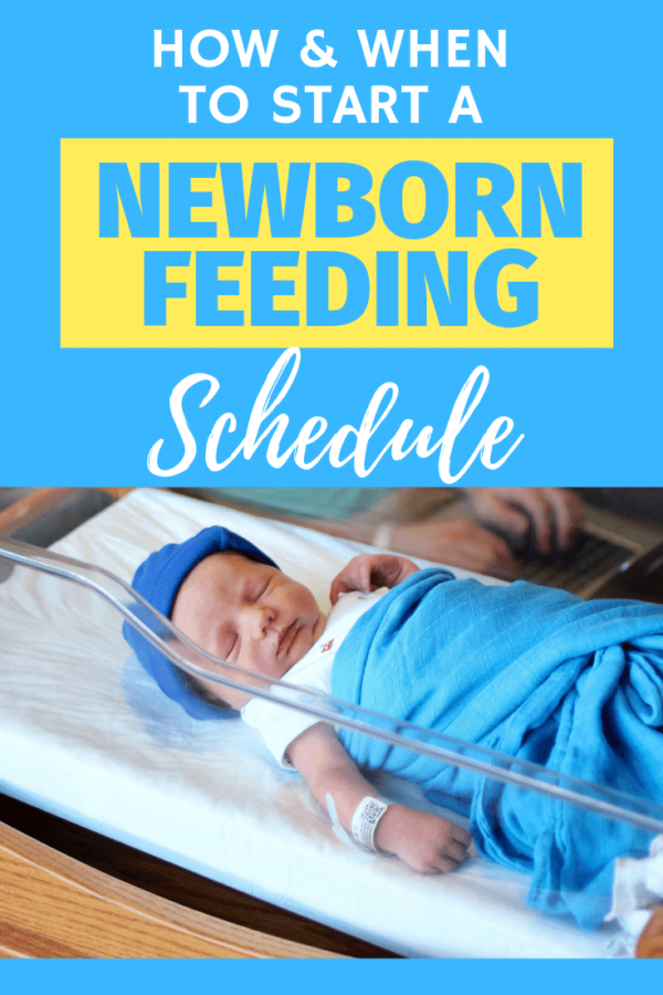 The New Mom's Complete Guide to Eat Play Sleep