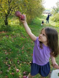 41 Fun & Easy Fall Activities for Toddlers and Preschoolers