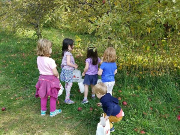 41 Fun & Easy Fall Activities for Toddlers and Preschoolers