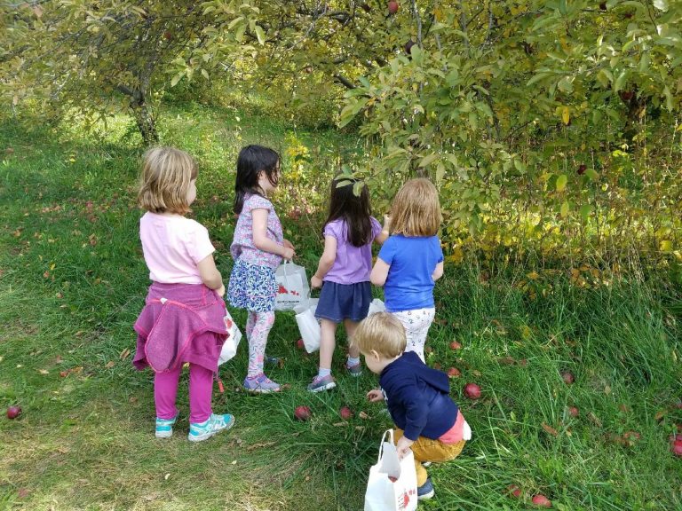 41 Fun & Easy Fall Activities for Toddlers and Preschoolers